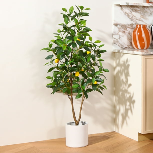 Outdoor Lemon Tree