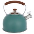 Phantom Chef 2.7L Full Handle Tea Kettle - Green - Walmart.com