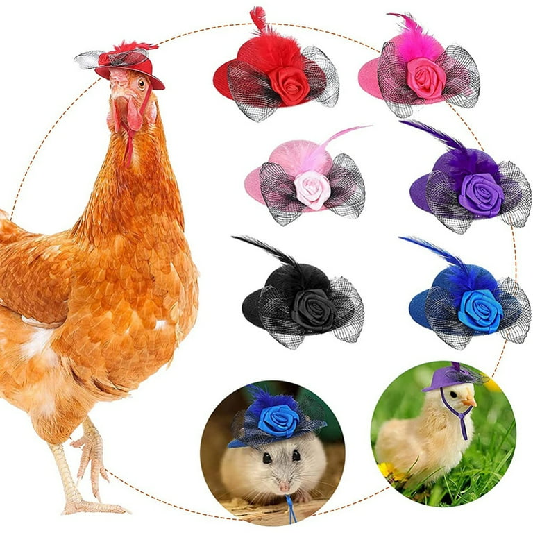 Bonnets For Chickens