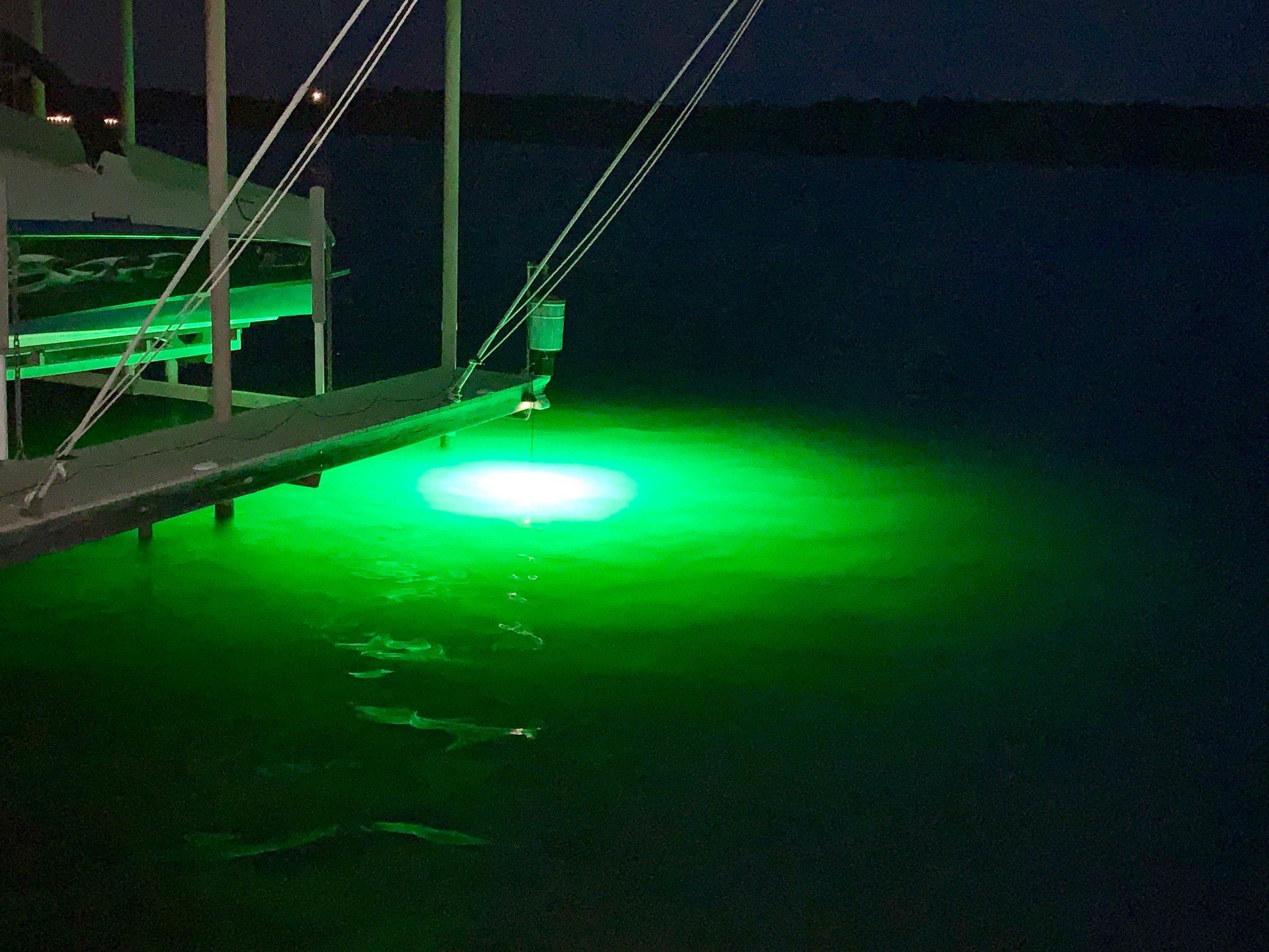 Bows Green Blob OutdoorsBlob Flounder And Hog Feeder Light Green 12-28V ...