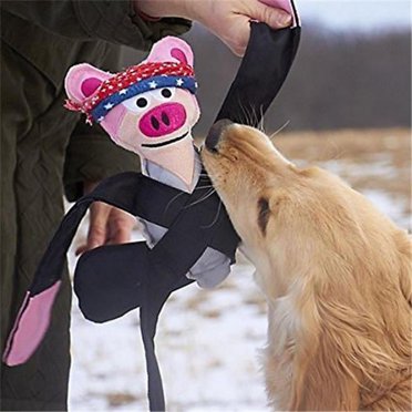 Dogzilla! Dino Disc Dog Toy, 1ct - Walmart.com