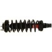 Monroe Shocks & Struts Quick-Strut 171525 Strut and Coil Spring ...