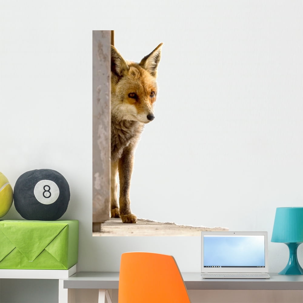 Fox Wall Decal by Wallmonkeys Peel and Stick Graphic (36 in H x 24 in W ...