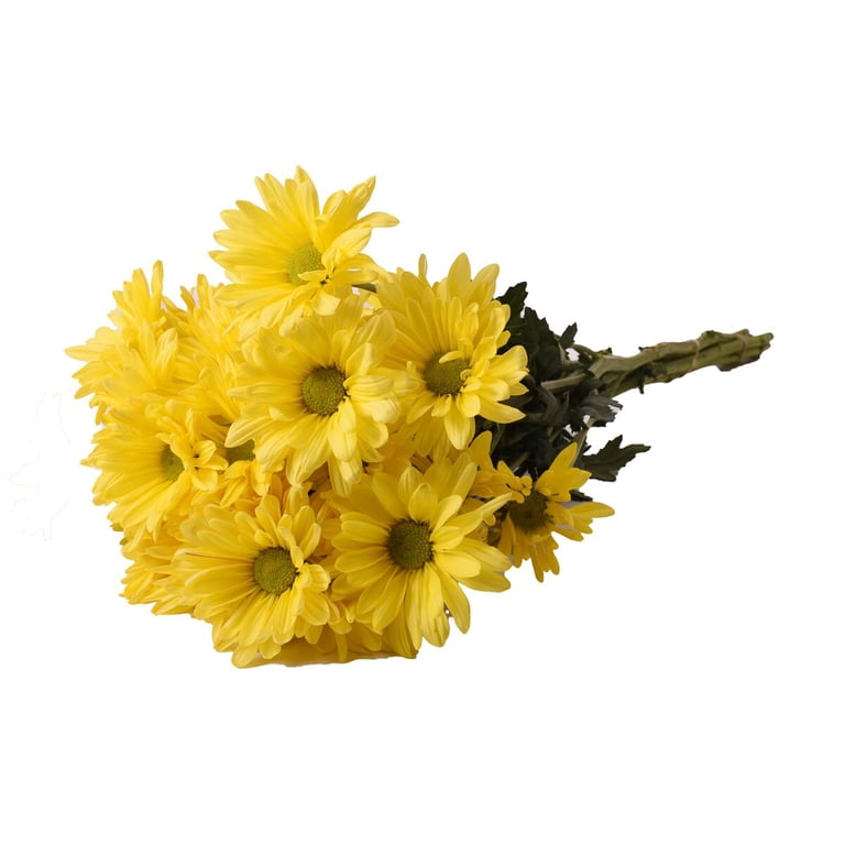 Yellow Daisy Flower Bouquet