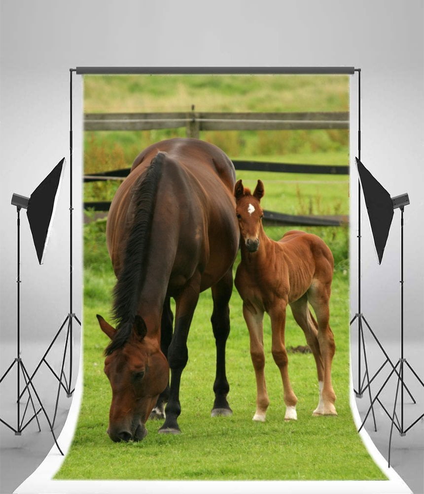Photography Horse Backdrop 5x7ft Grass Land Children Kids Photographic ...