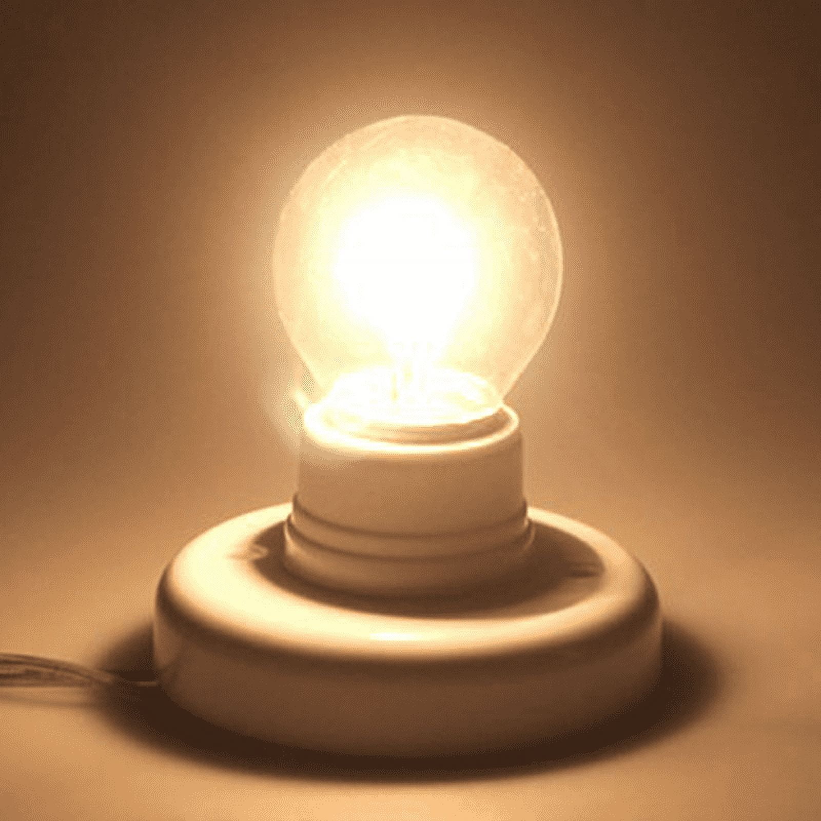 Bombilla incandescente E27/E14, rosca para iluminación general, 25 W ...