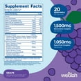 Wellah Splish Splash Hydration (Grape Flavor) 20 Stick Packs ...