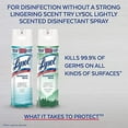 Lysol Disinfectant Spray, Antibacterial Sanitizing Mist, Crisp Linen ...
