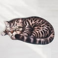3D Cat-shaped Thicken Bedroom Mats Cute Sleeping Animals Plush Mats for ...