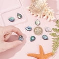 1set 8Pcs Natural Abalone Shell/Paua Shell Beads Teardrop Colorful ...
