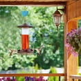 Visible Water Level Bird Feeder Hook - Ant-Proof Plastic Upside Down ...