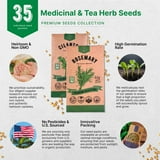 Walmart 35 Medicinal & Tea Herb Seeds Pack, Indoor & Outdoor, Non-GMO ...