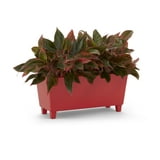 Apple Red, Rust-Oleum American Accents 2X Ultra Cover Satin Spray Paint ...