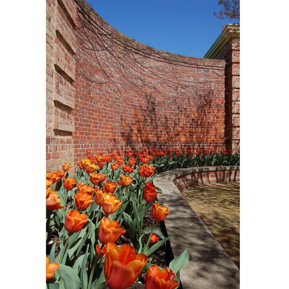 Baker Wall II Glossy Poster - Walmart.com