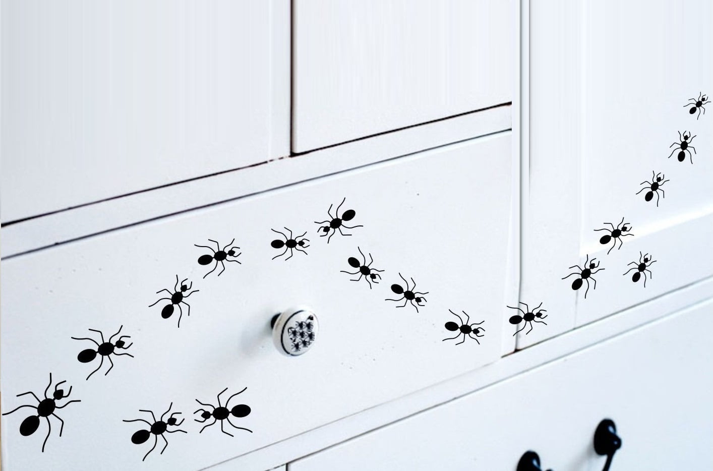 Ants Crawling Lot 15 ~ WALL or Window DECAL 2" X 2" each Qty 15 on ...