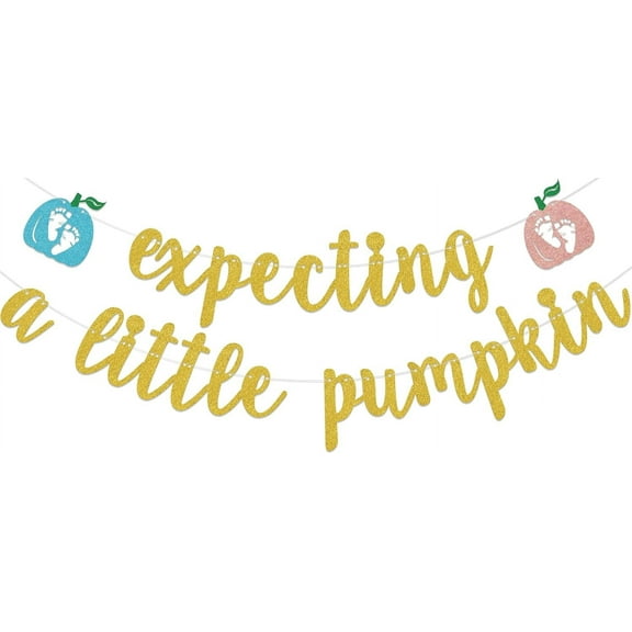 Autumn Boho Pumpkin Baby Shower Banner A Little Pumpkin is On The Way ...