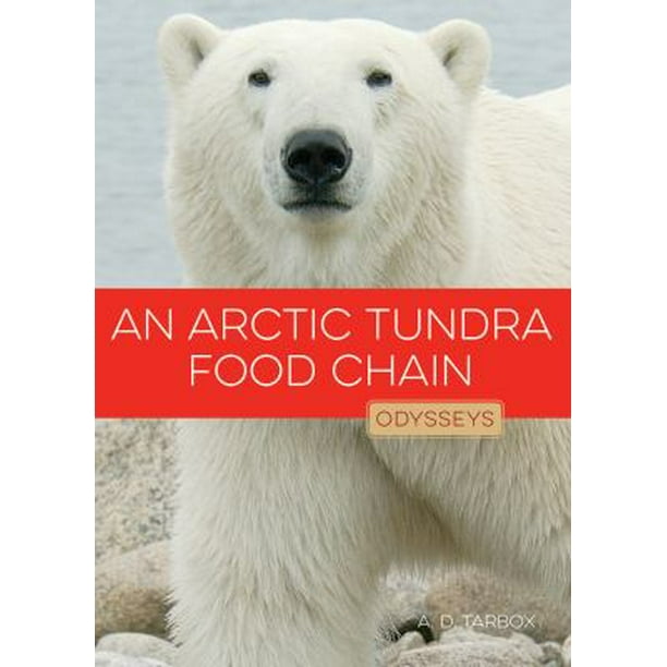 Tundra Food Chain