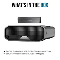 SanDisk Professional G-RAID Mirror External Hard Disk Drive with Pro ...