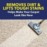 OxiClean Large Carpet Cleaner Liquid Solution for Steam Cleaning ...