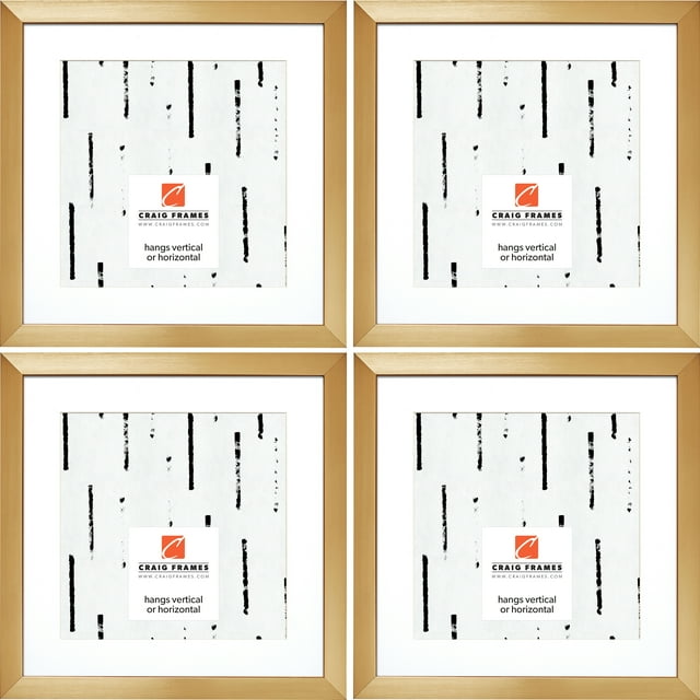 Craig Frames Modern Aesthetics 125, 12x12 inch Picture Frame Matted for ...