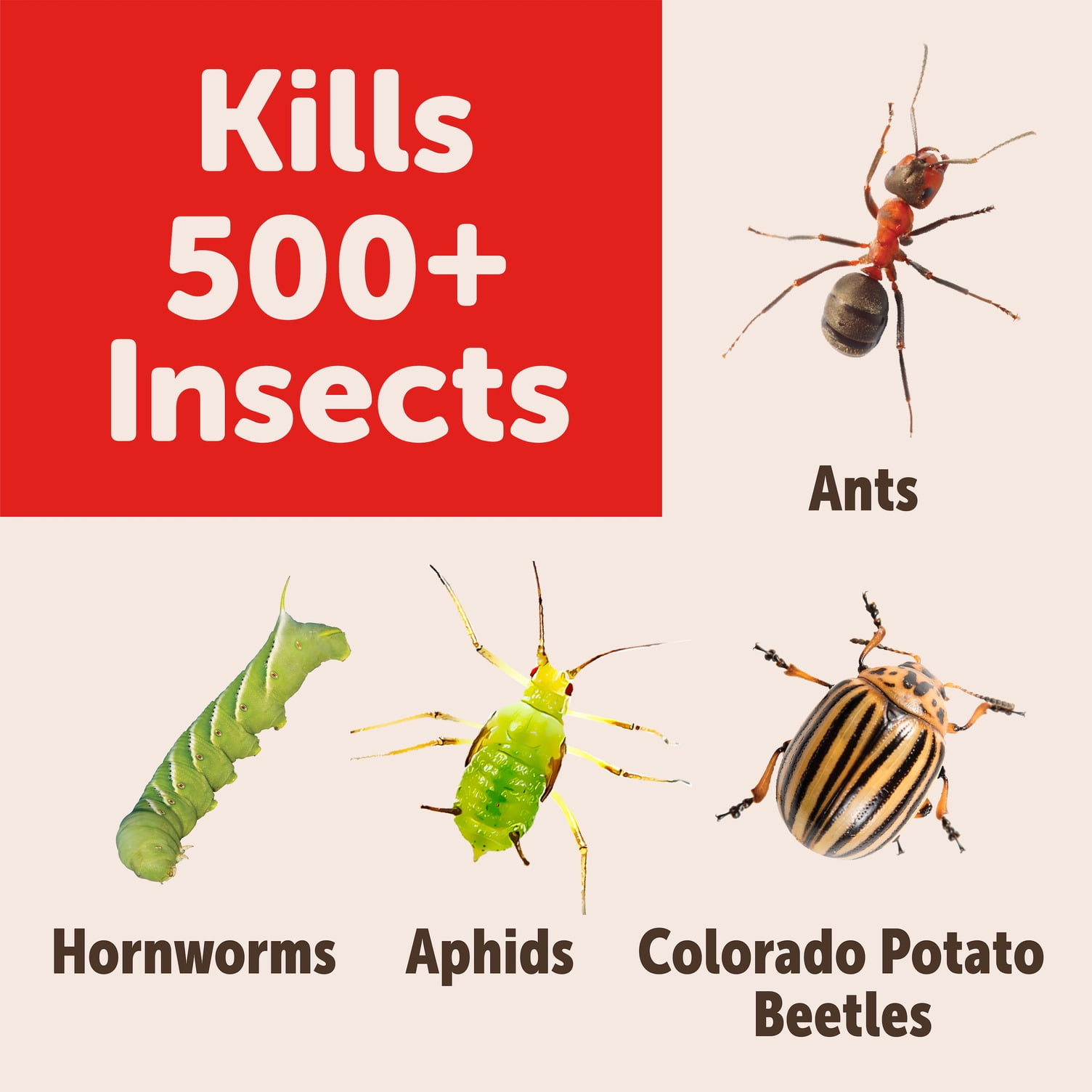 Sevin Insect Killer Lawn Granules 20 lb Best Deals and Price History at ...