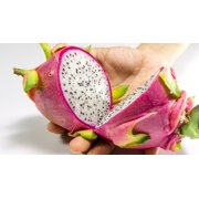 Dragon Fruit - Walmart.com
