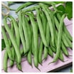 Everwilde Farms - 1/4 lb Tenderette Green Bush Bean Seeds - Gold Vault ...