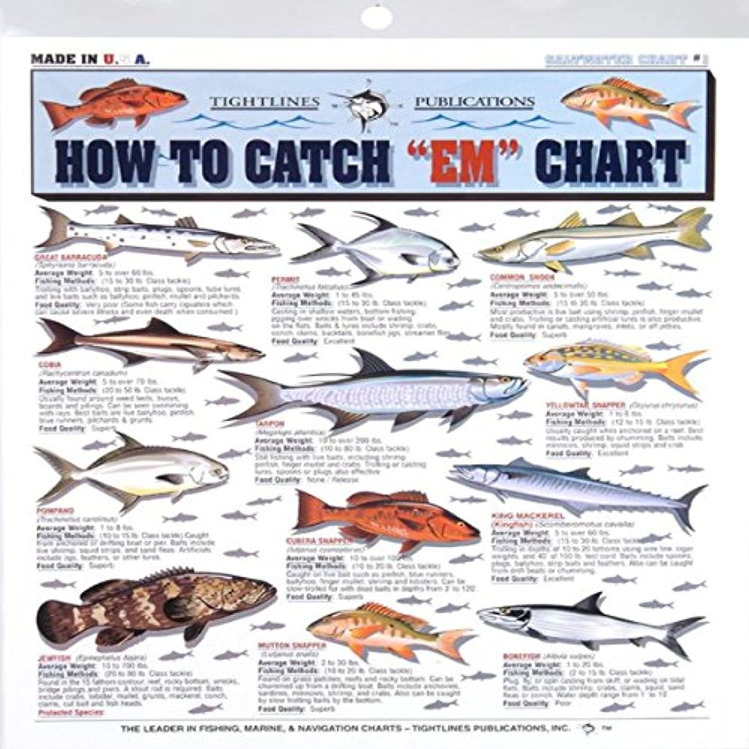 Fishermans Saltwater Fish Chart #1 - Walmart.com