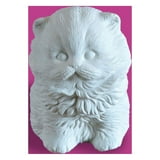 ACTÍVA Li-Qua-Che Paper Mache - 1 Gallon Bottle (128 oz.) - Walmart.com