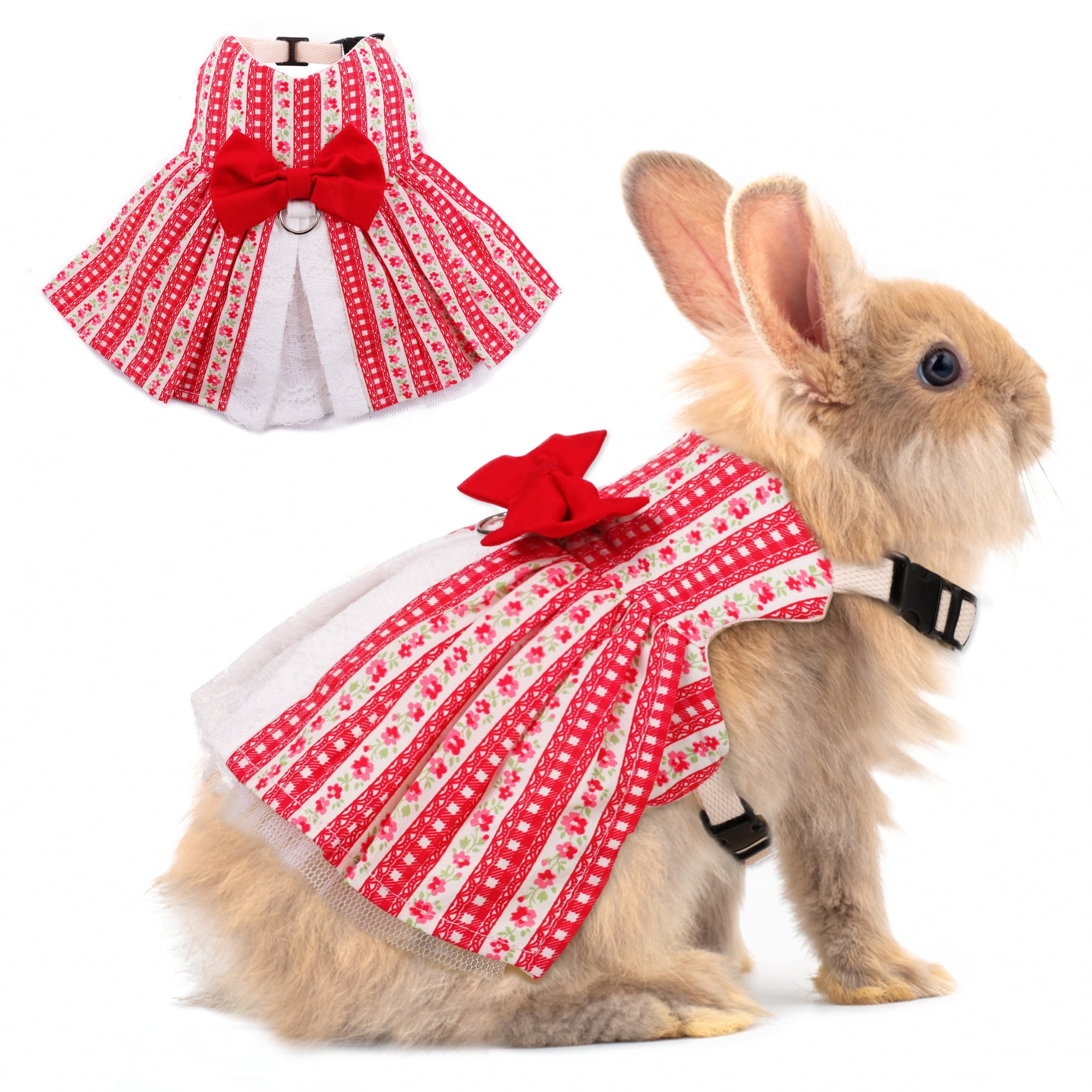Chinchillas In Costumes