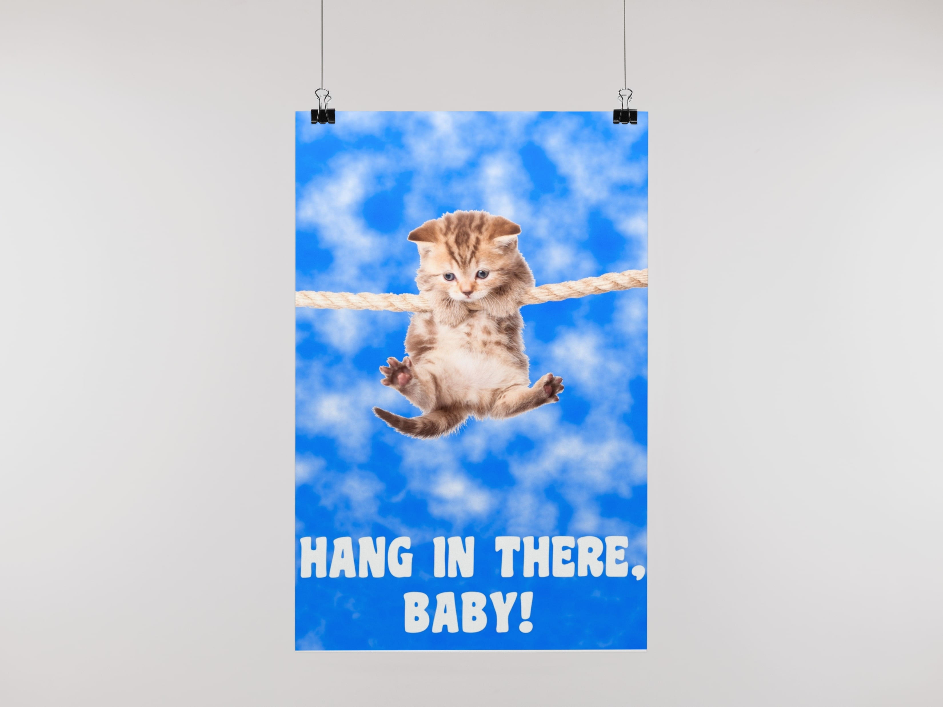 Hang In There Baby Cat Poster
