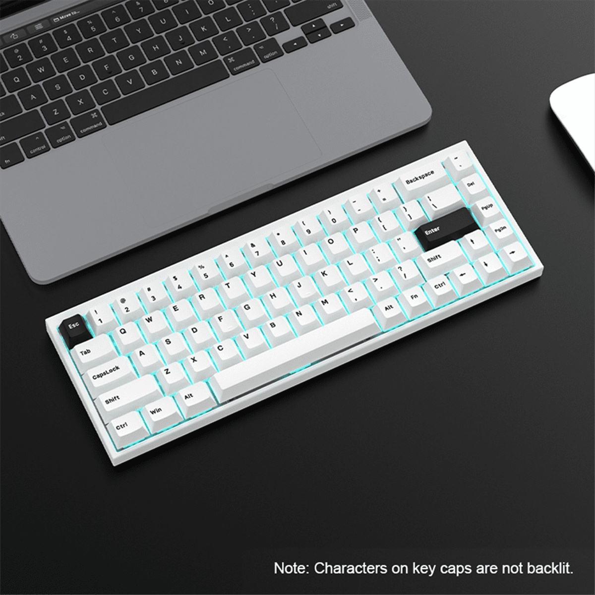 168-Key Big Set Dual Color Key Caps Alto Contenido PBT Wear Keycaps Set ...