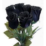 Rare Rose Seeds True Blood Rose Bush 20 Seeds - Walmart.com