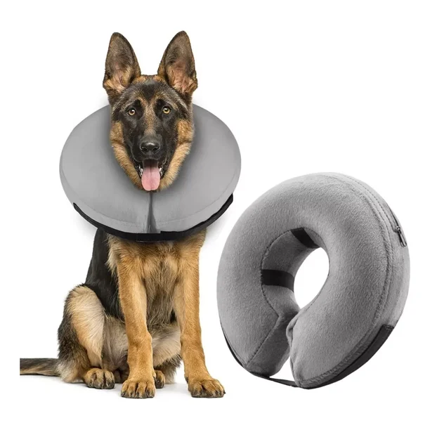 Collar Isabelino Para Perro O Gato Mascretta Dona Isabelina Color Gris ...