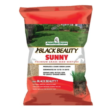 Jonathan Green Black Beauty Ultra Grass Seed, 1-Pound - Walmart.com