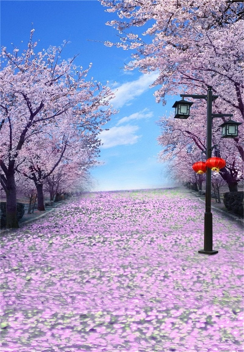 MOHome 5x7ft Artistic Photography Studio Background Girl Photo Shoot ...