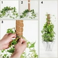 Moss Pole - 15.7 inch Moss Stick for Potted Plants, 4 Pcs Plant Support ...