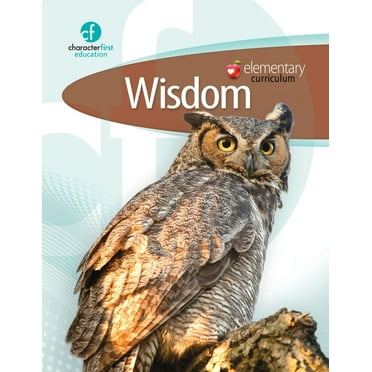 Math Made Easy: Kindergarten Activity Book (Paperback) - Walmart.com