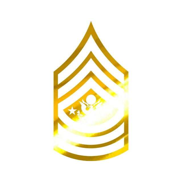 E 9 Sergeant Major Of The Army Rank Sticker Decal Die Cut Self