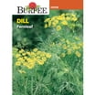 Burpee-Rosemary Seed Packet - Walmart.com