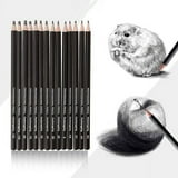 CNKOO 14pcs/set Professional Sketching Graphite Charcoal Pencils Set for Drawing - Walmart.com