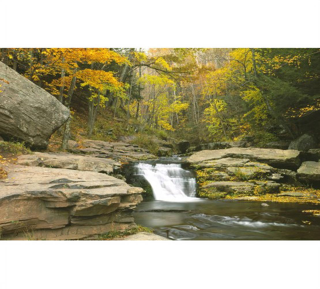 Biggies 80" Stream Window Well Scenes - Walmart.com