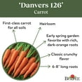 Burpee Organic Danvers 126 Carrot Vegetable Seed, 1-Pack - Walmart.com