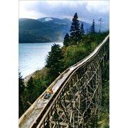 Avanti Press Bear Holding Toilet Plunger Over Blue Toilet Gross Funny ...