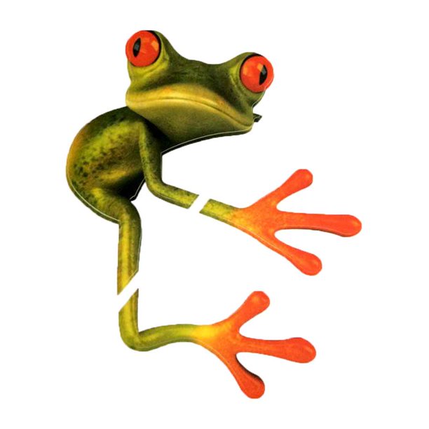 Car frog sticker car stickers frog car decal frog window sticker kids ...