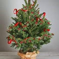Red Berry Christmas Garland 5.2Ft Artificial Vine Snow Flocked Cypress ...