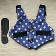 SPRING PARK Rabbit Hamster Vest Harness With Leash Bunny Chest Strap ...