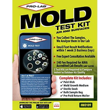 Immunolytics Easy to Use Professional DIY Mold Test Kit for Home ...
