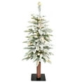 Fraser Hill Farm 3-ft. Snowy Downswept Tree with Clear Lights Metal ...