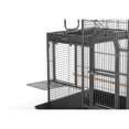 Prevue Pet Products Deluxe Parrot Play Top Birdcage, Black Hammertone ...